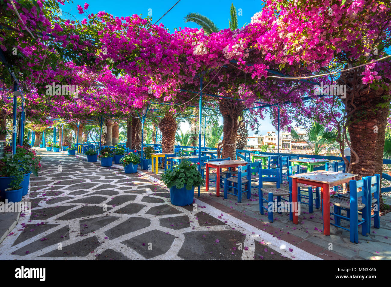 Narrow paved street full of colorful flowers in Sisi, Crete, Greece ...