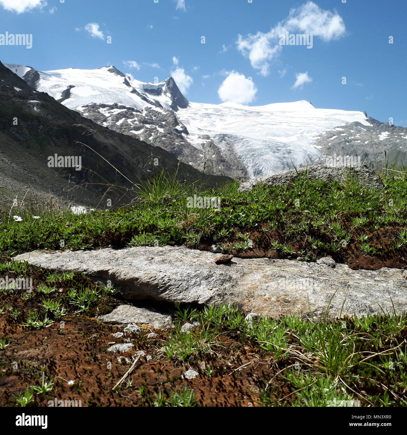 Glacier protection hi-res stock photography and images - Alamy