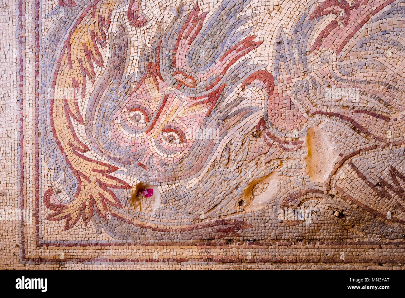 Ancient mosaic pattern depicting a face in Madaba Archaeological Park ...