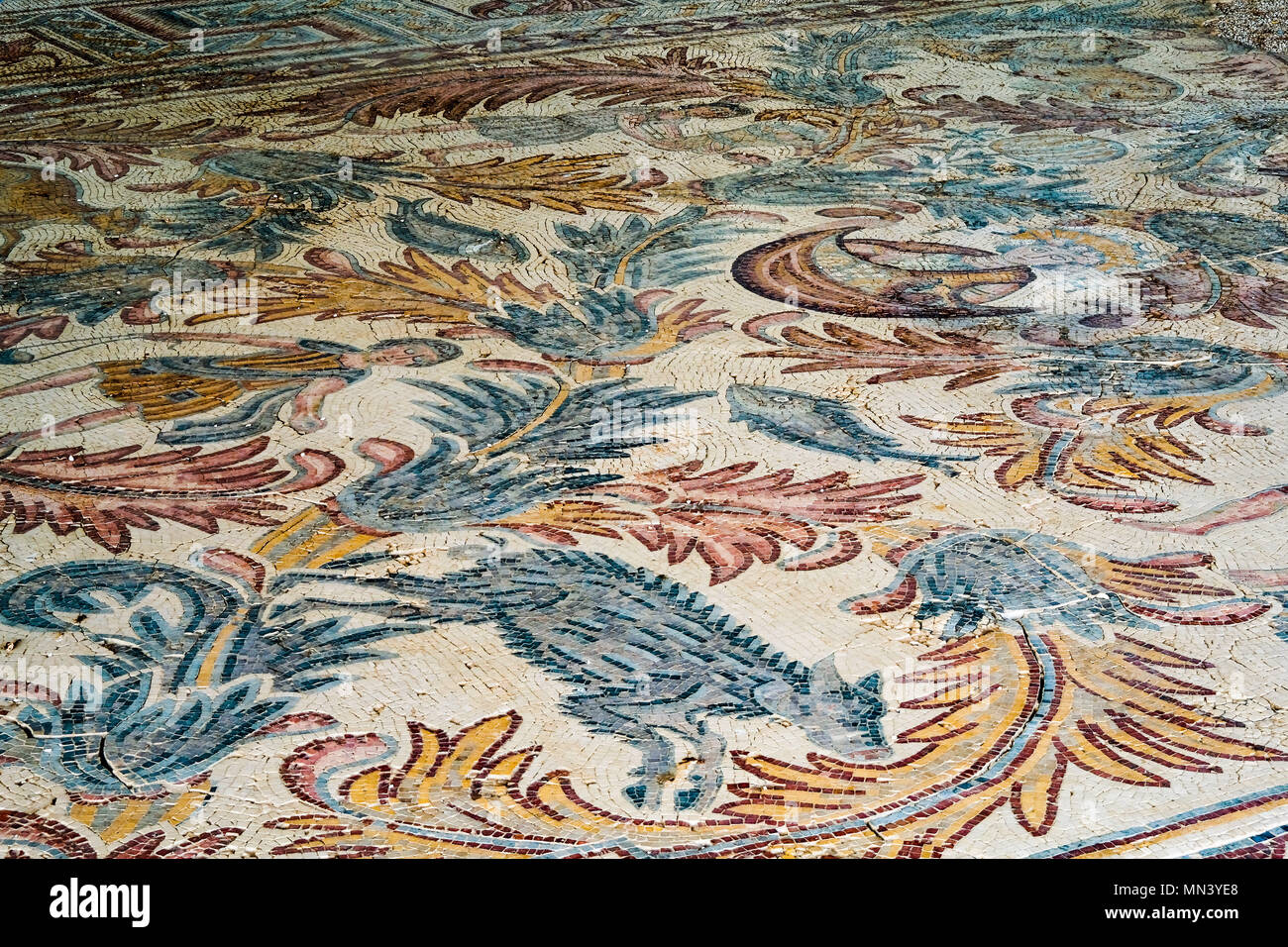 Ancient mosaic pattern in Mount Nebo memorial depicting everyday ...