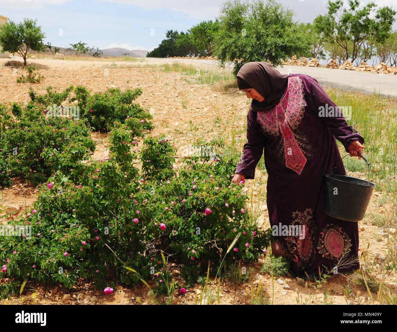 Damascus, Syria. 13th May, 2018. A Syrian woman takes part in the ...