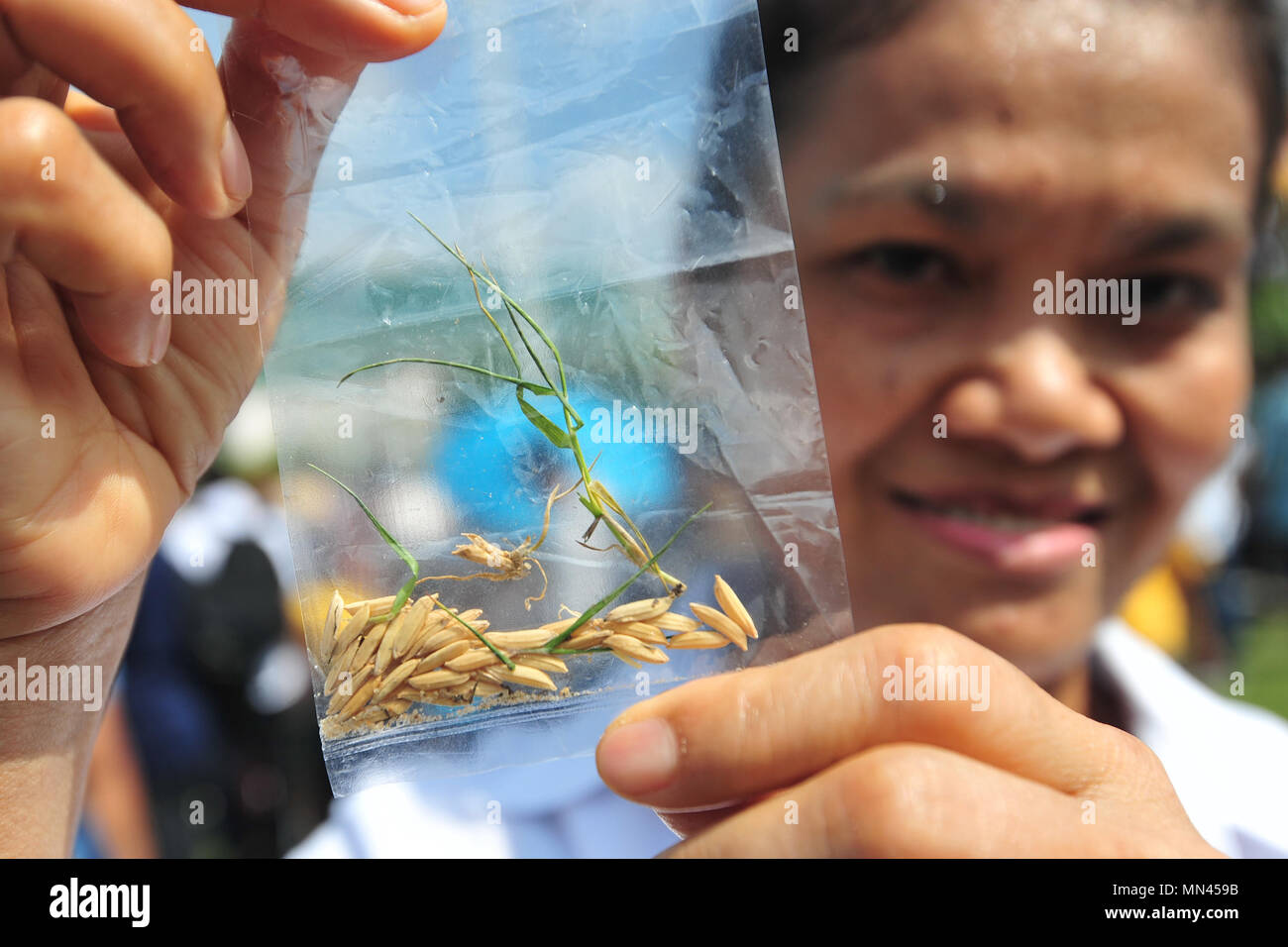 Bangkok, Thailand. 14th May, 2018. A participant shows sacred rice ...