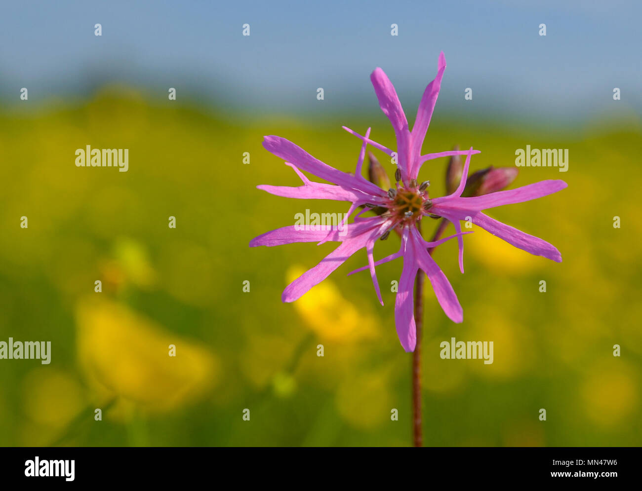 Humid places hi-res stock photography and images - Alamy