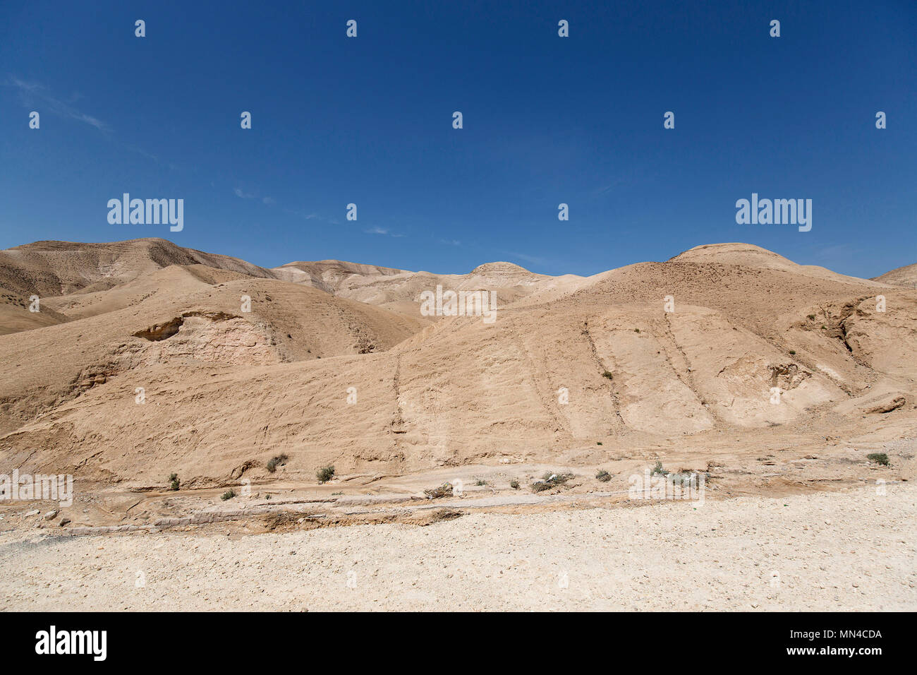 Israel desert hi-res stock photography and images - Alamy