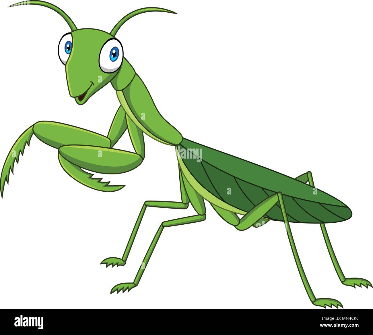 Cartoon green mantis Stock Vector Image & Art - Alamy