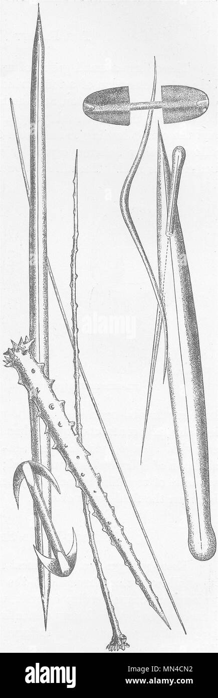 Spicules hi-res stock photography and images - Alamy