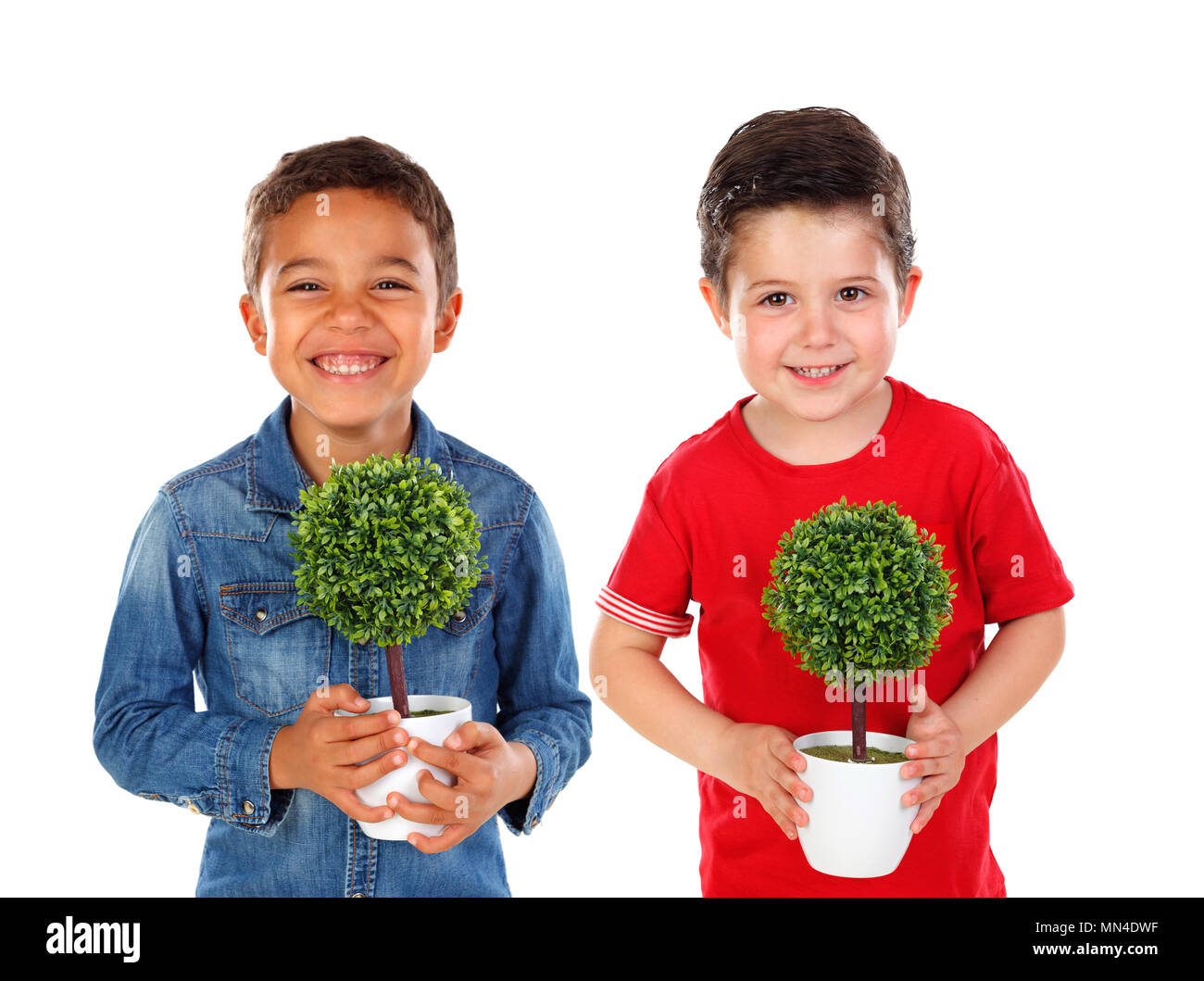Children holding a small tree. Care the environment Stock Photo - Alamy