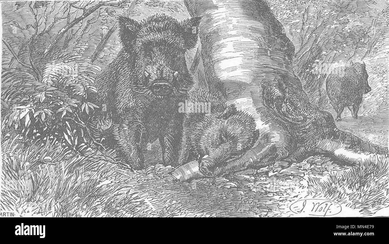 Sounder hi-res stock photography and images - Alamy