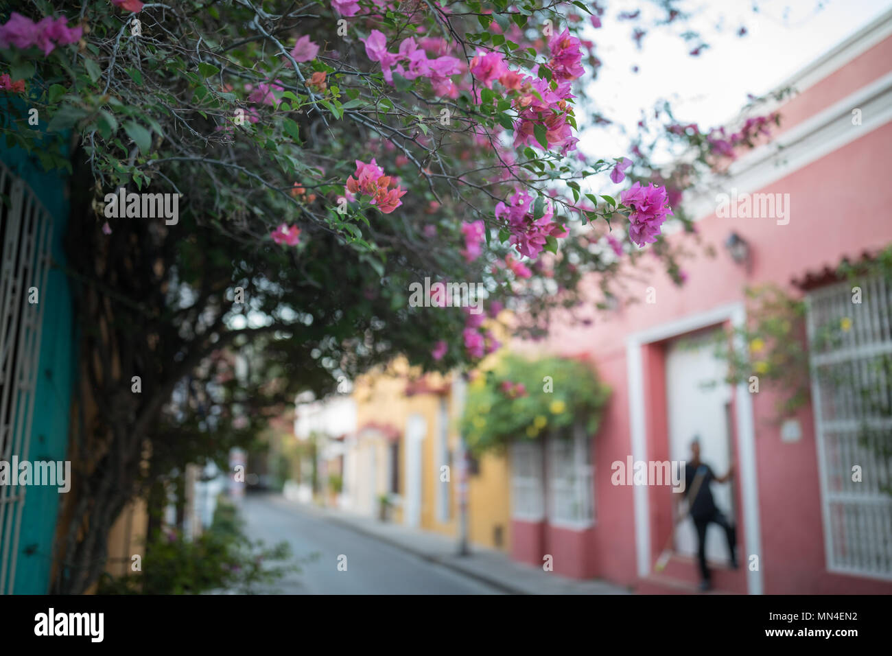 The colourful streets of Getsemani, Cartagena, Colombia Stock Photo - Alamy
