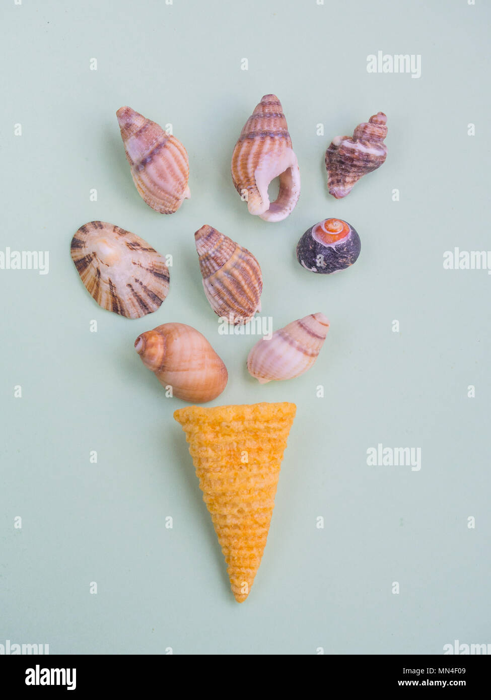 Corn cone with seashells on green background Stock Photo - Alamy
