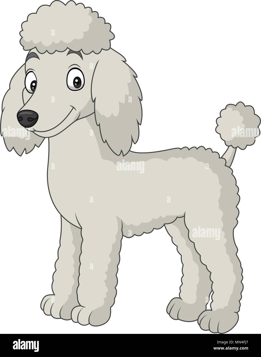 Cartoon poodle dog isolated on white background Stock Vector Image ...