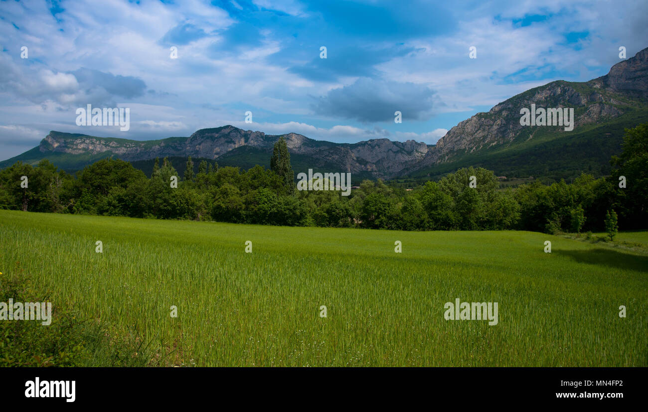 Foret de saou hi-res stock photography and images - Alamy