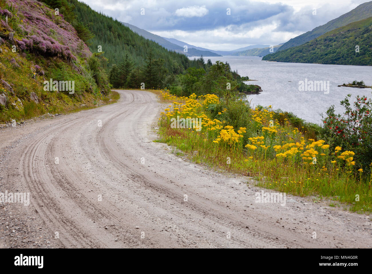 Highland area hi-res stock photography and images - Alamy