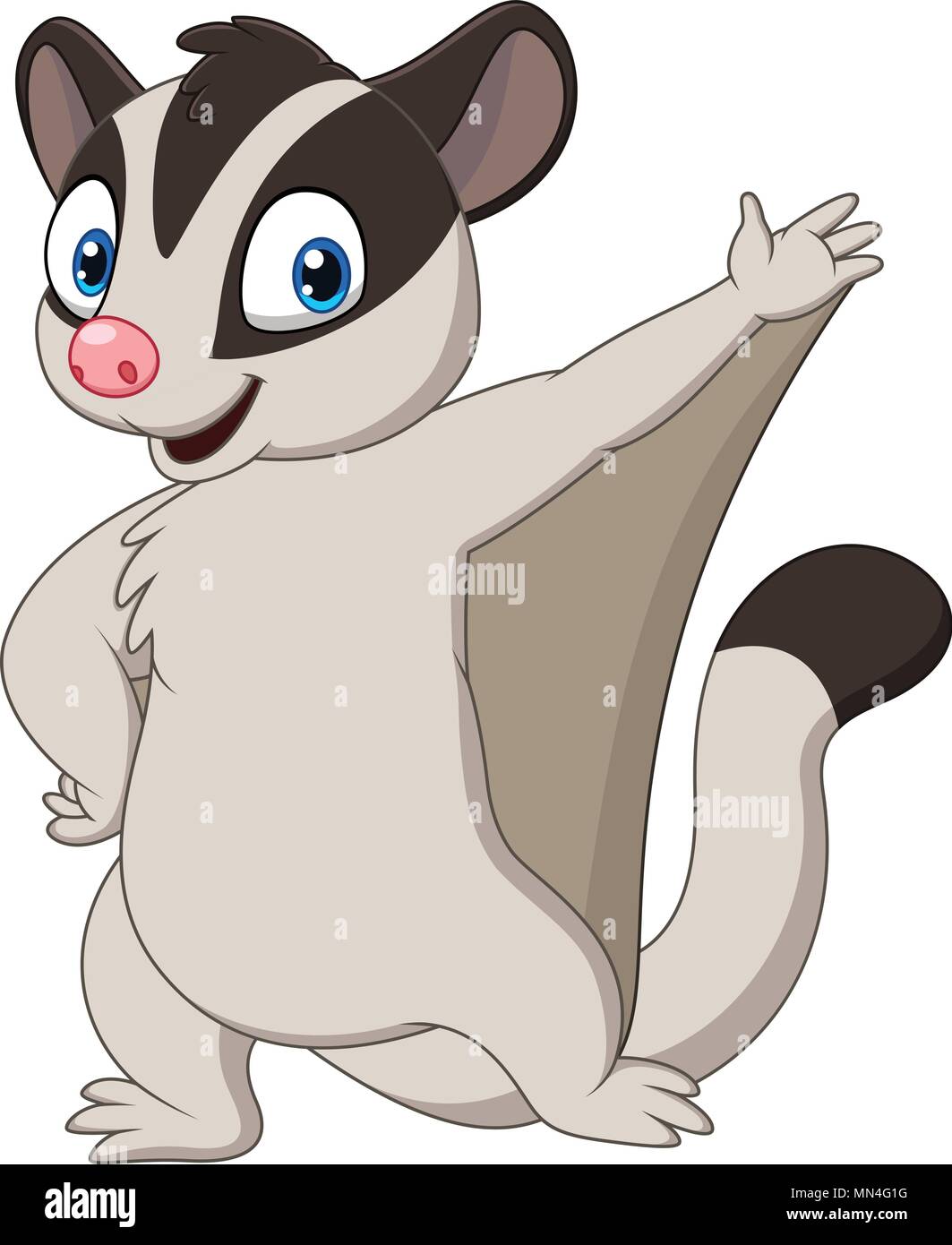 Sugar glider illustration hi-res stock photography and images - Alamy