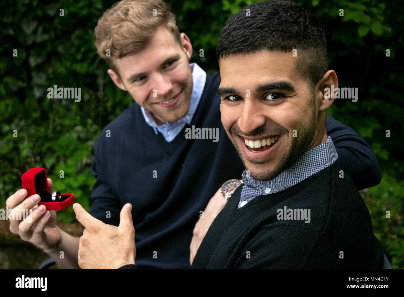 Engagement proposal betwen two gay men as one man proposes with an ...