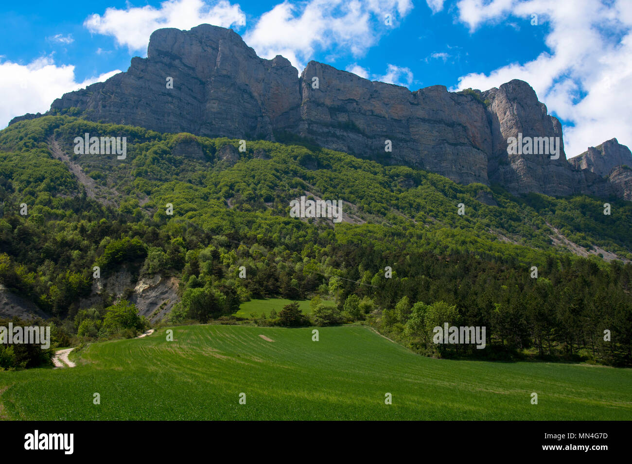 Becs hi-res stock photography and images - Alamy