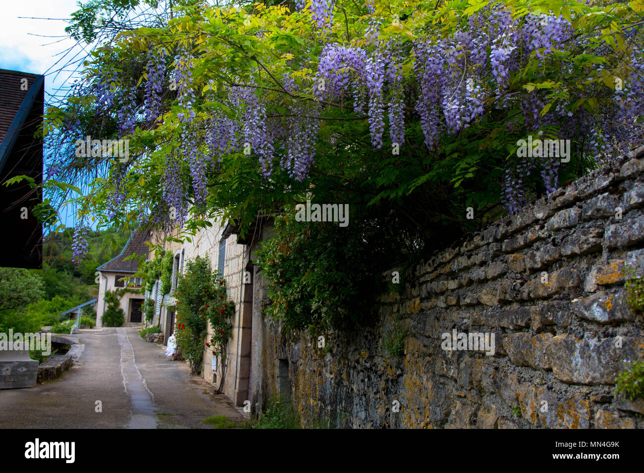 Pierre france hi-res stock photography and images - Alamy