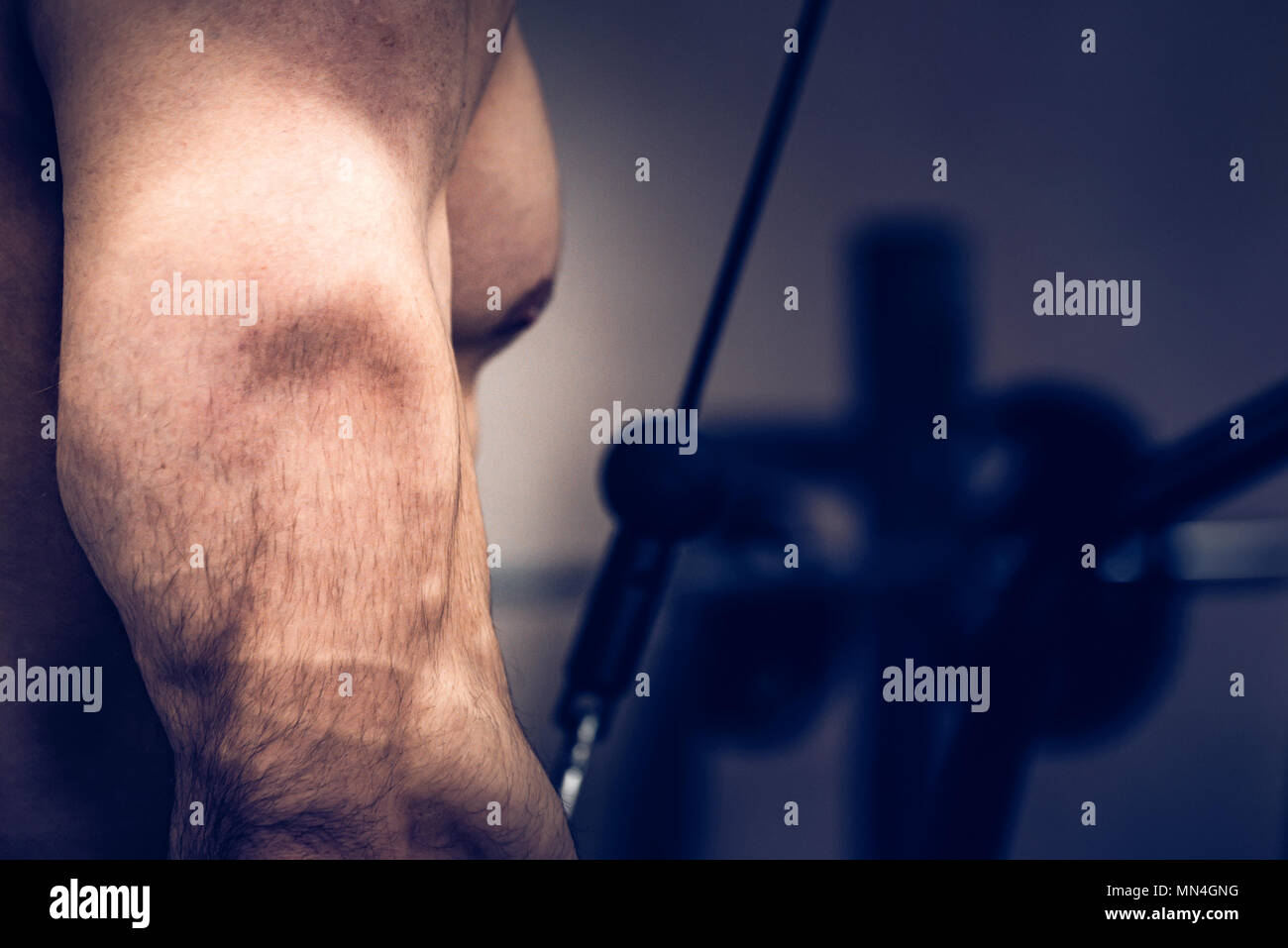 Close up of sports man's triceps Stock Photo - Alamy