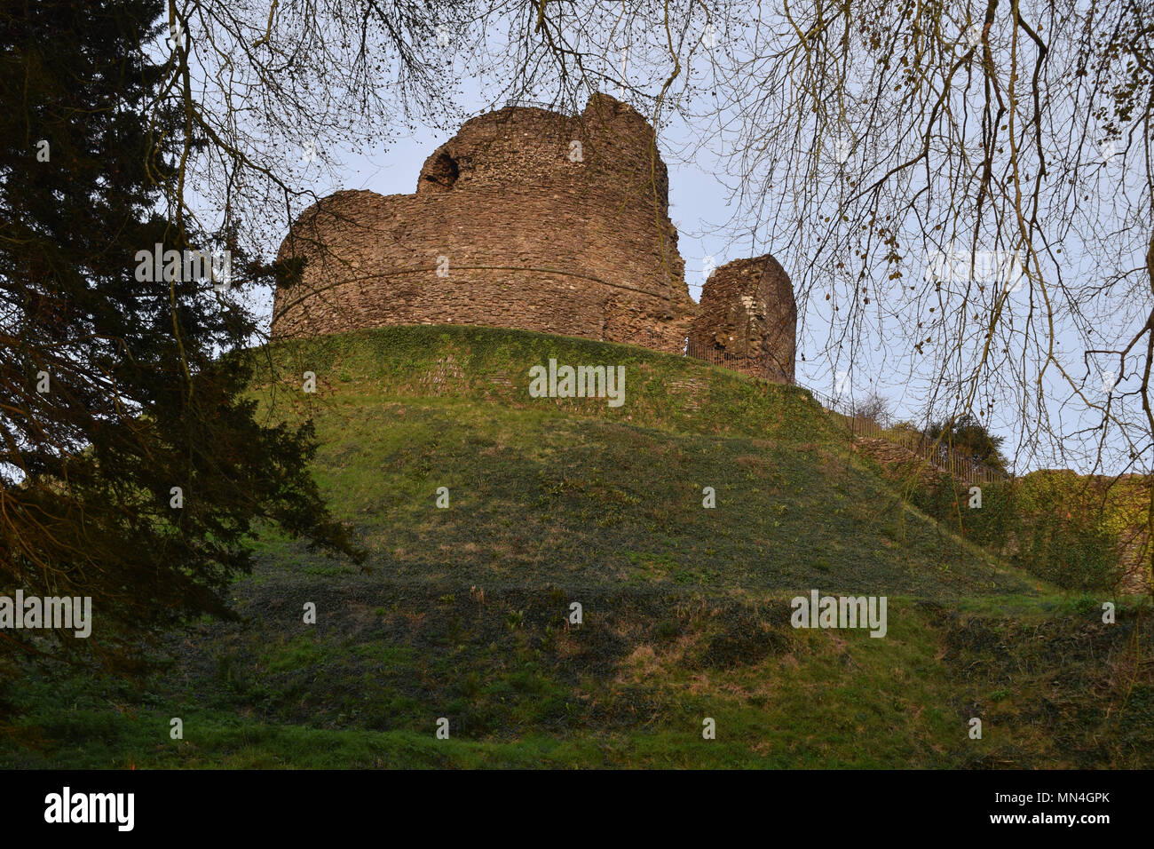 Launceston castle hi-res stock photography and images - Alamy