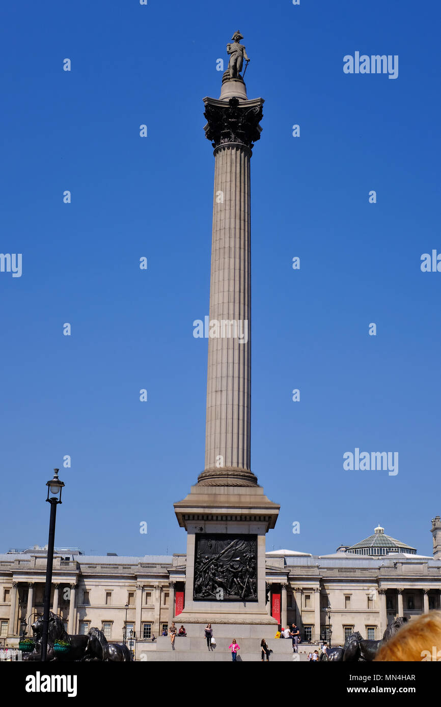 Nelsons Column Trafalgar Square London UK Stock Photo - Alamy