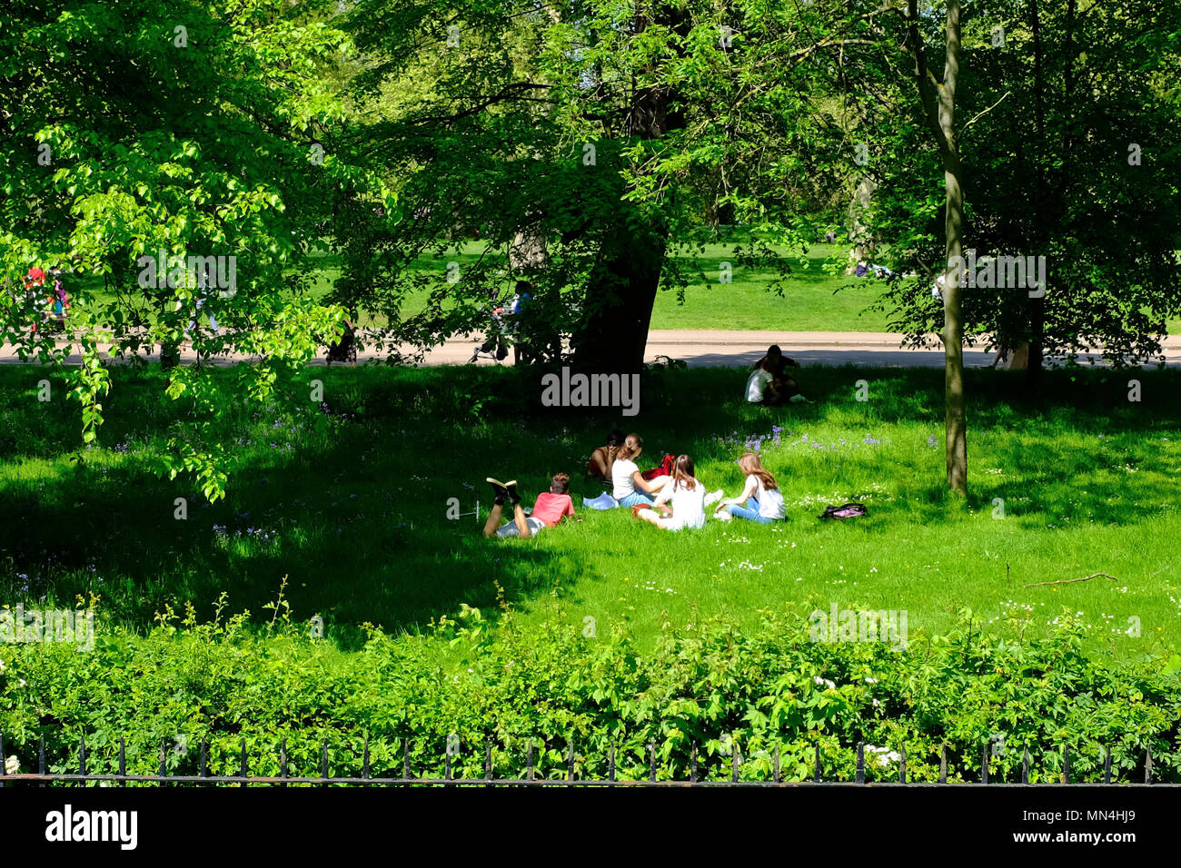 Picnic Under Trees Stock Photos & Picnic Under Trees Stock Images - Alamy