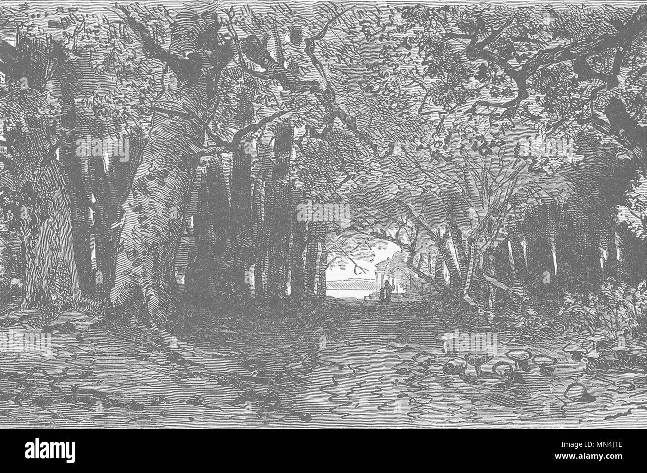 GERMANY. On the Niederwald 1903 old antique vintage print picture Stock ...