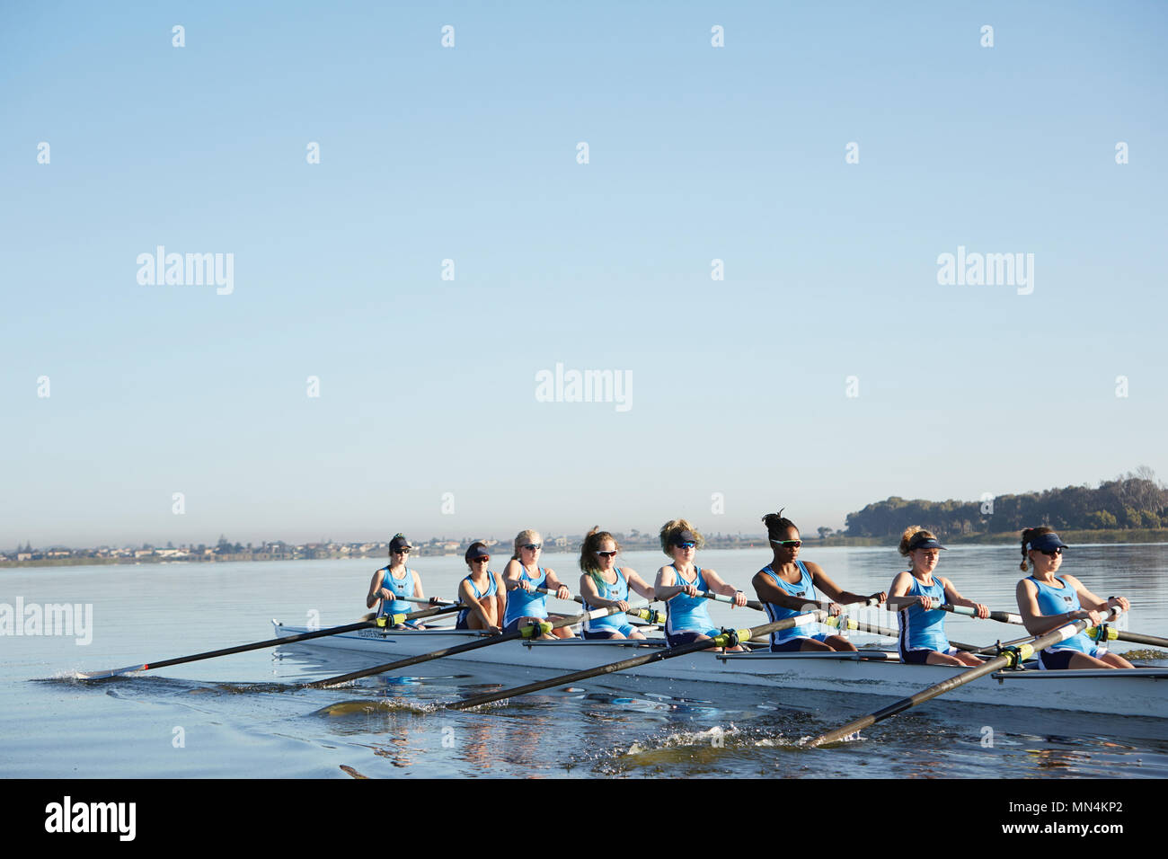 Female rowers rowing scull on sunny lake under blue sky Stock Photo - Alamy