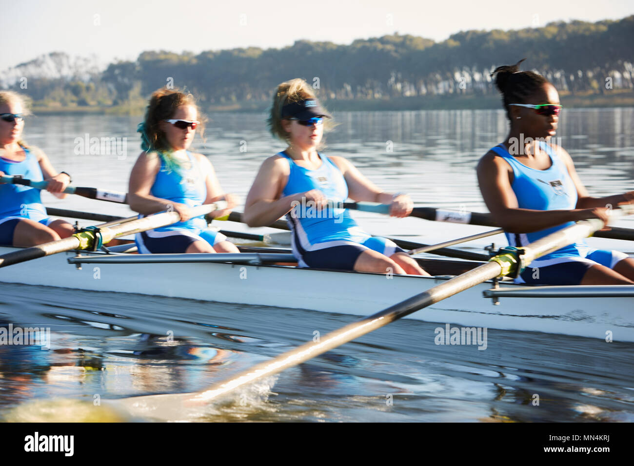 Female rowers rowing scull on sunny lake Stock Photo - Alamy