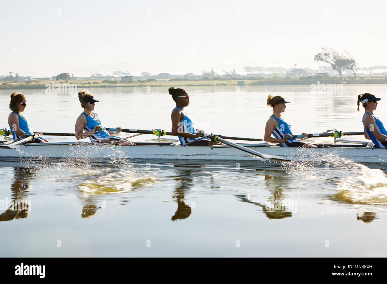 Female rowing team rowing scull on sunny lake Stock Photo - Alamy