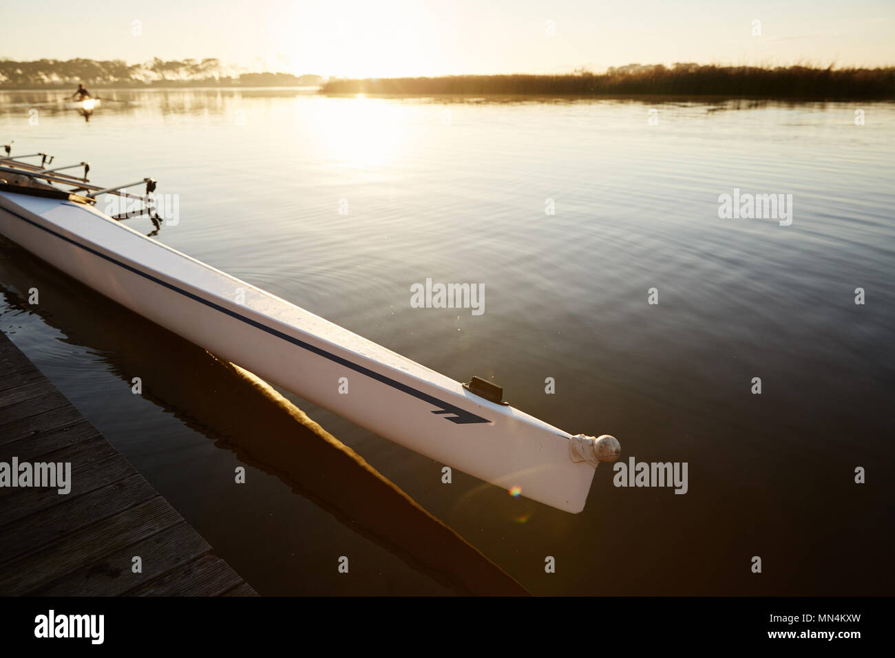 Scull image hi-res stock photography and images - Alamy