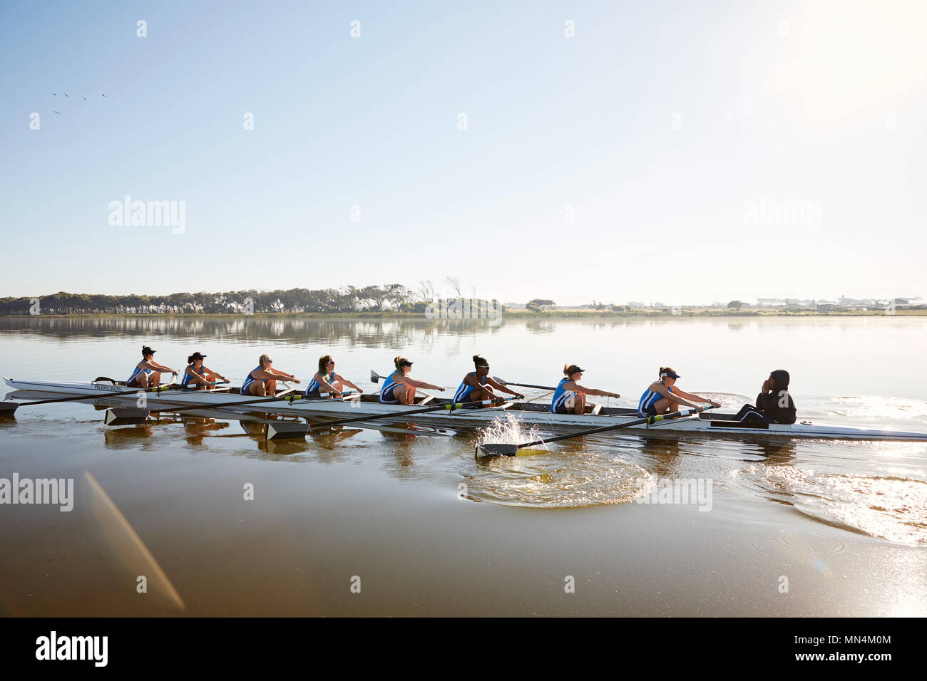Female rowing team rowing scull on sunny lake Stock Photo - Alamy