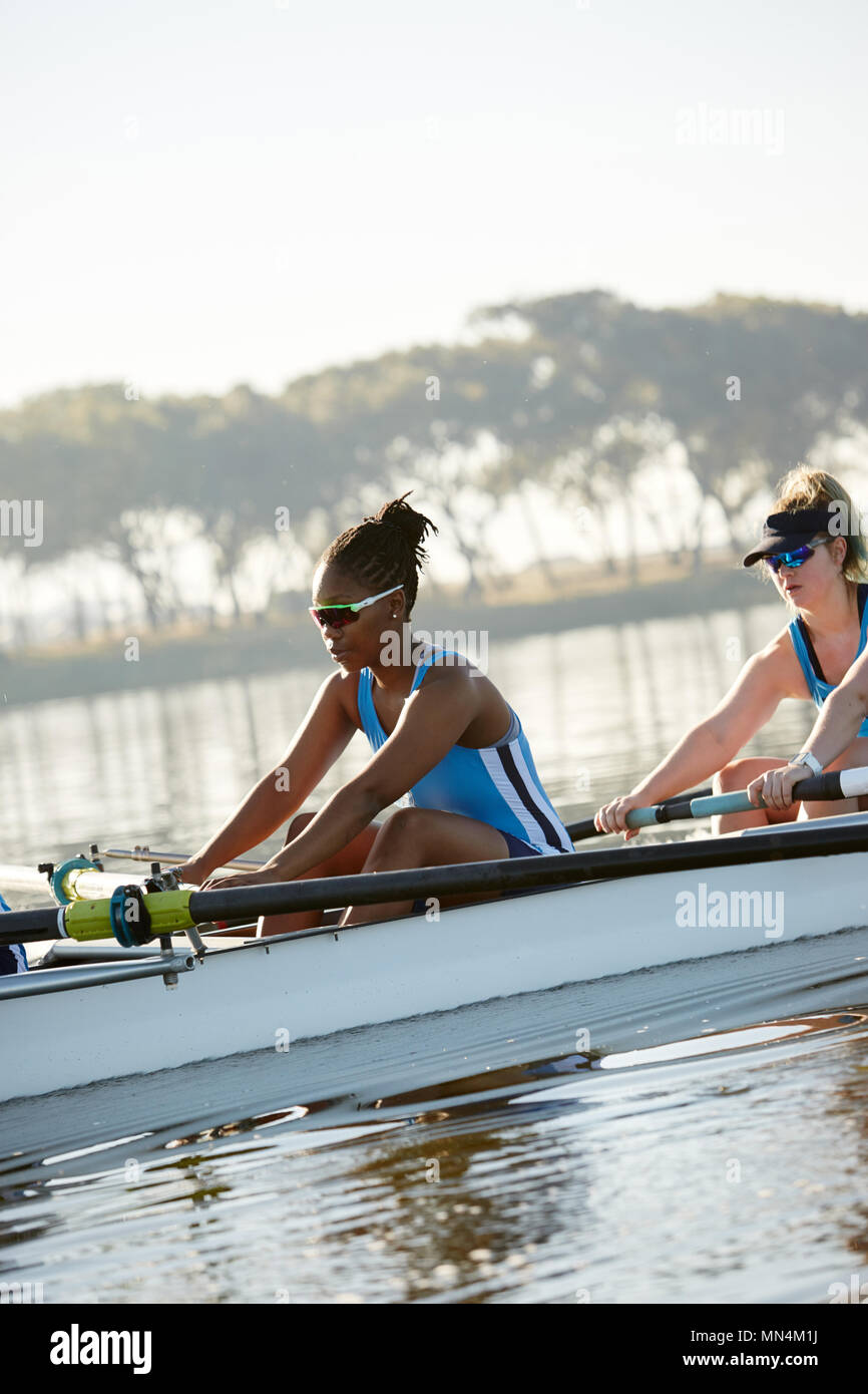 Female rowing team rowing scull on sunny lake Stock Photo - Alamy