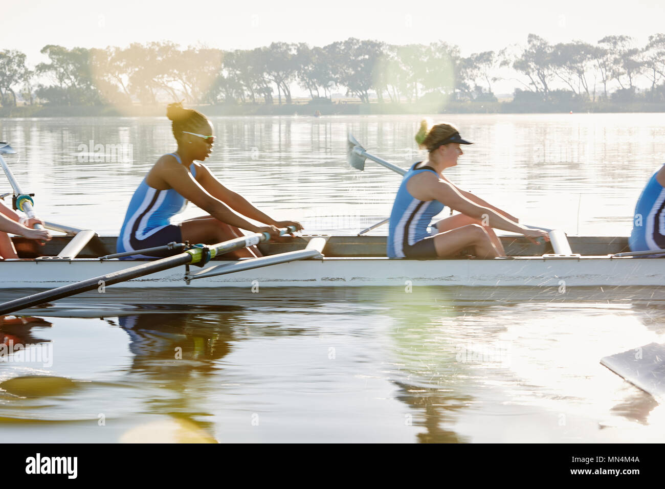 Female rowing team rowing scull on sunny lake Stock Photo - Alamy
