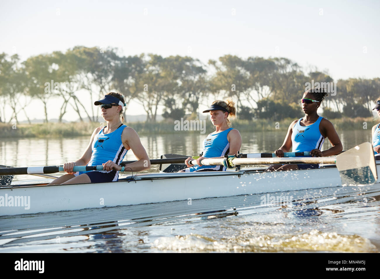 Female rowing team rowing scull on sunny lake Stock Photo - Alamy