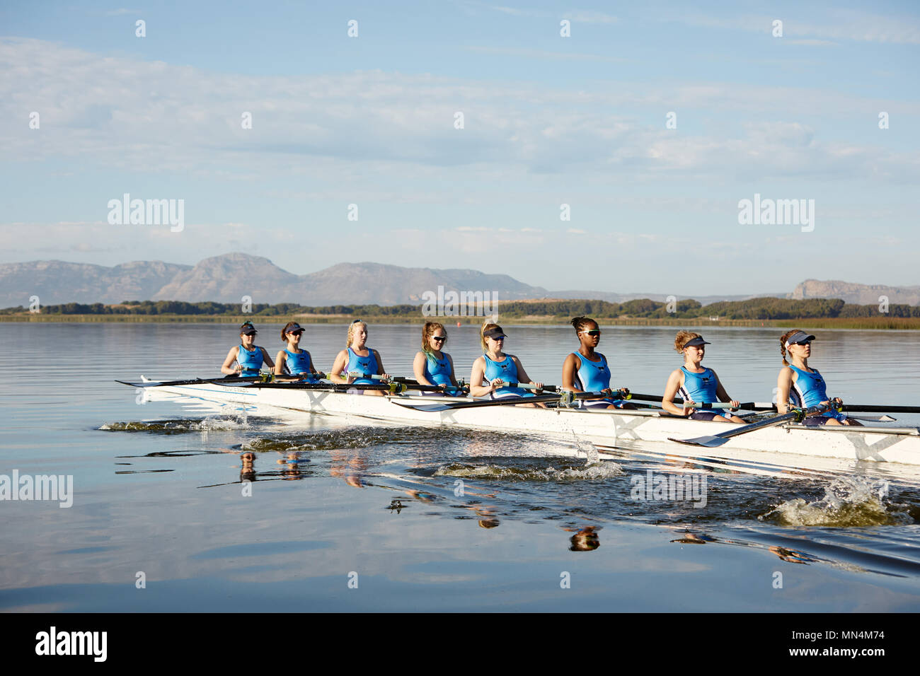 Female rowing team rowing scull on sunny lake Stock Photo - Alamy