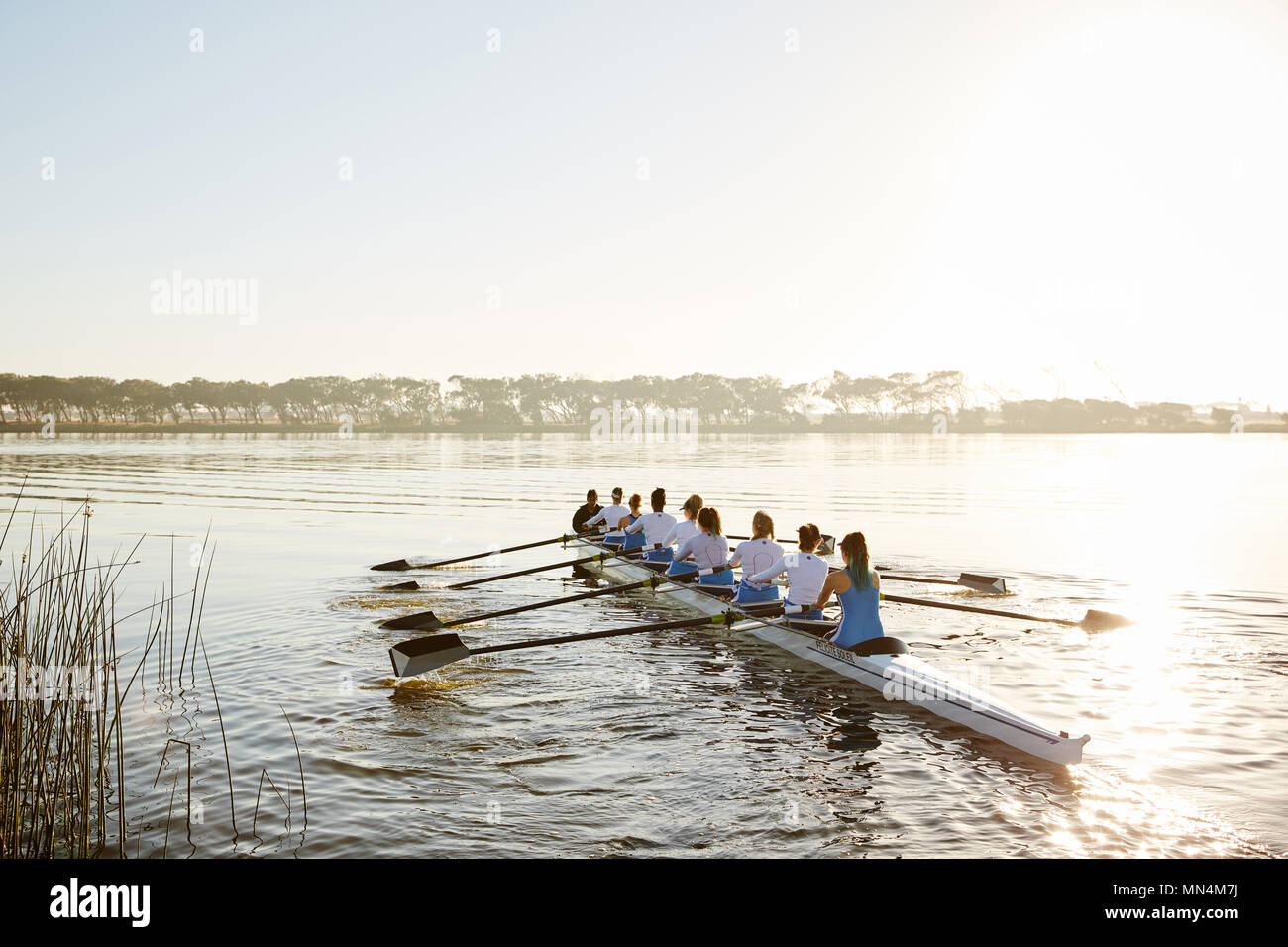 Female rowing team rowing scull on sunny lake Stock Photo - Alamy