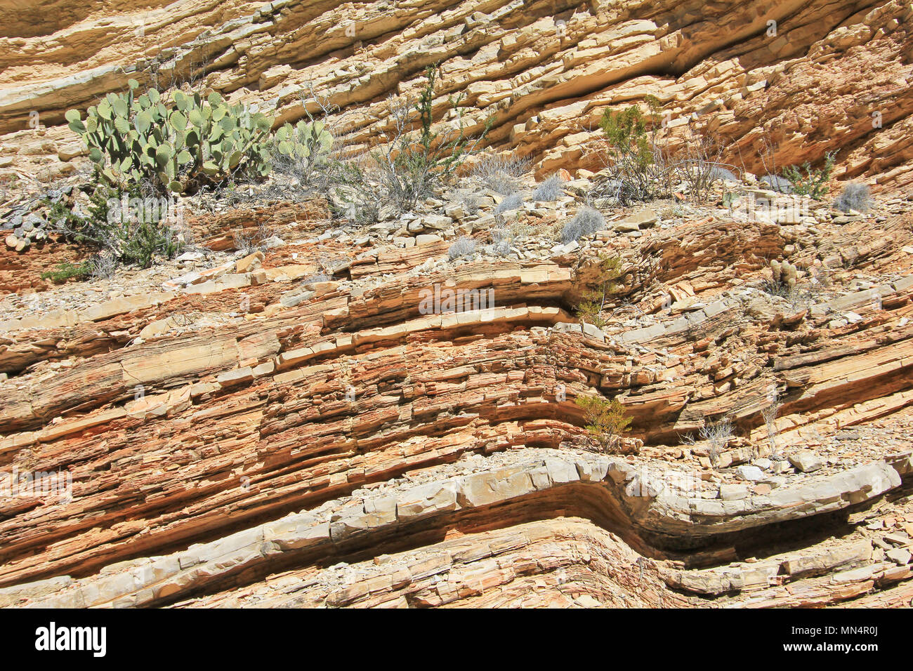 Curved rock layers hi-res stock photography and images - Alamy