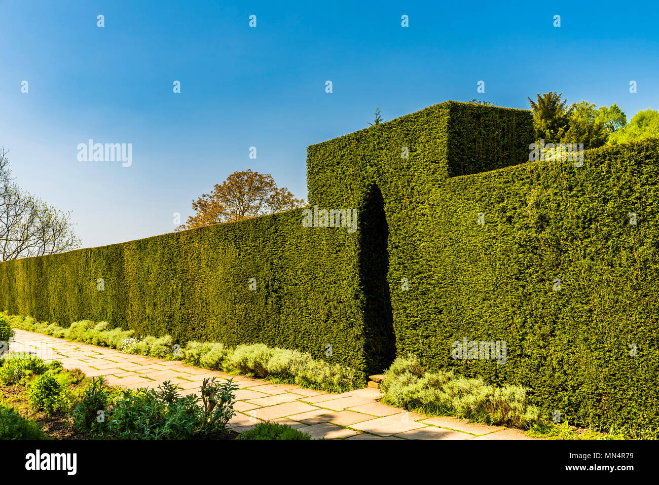 Clipped hedge and entrance at Chartwell, Kent, UK Stock Photo - Alamy