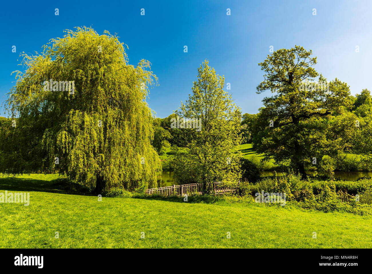 Three trees by the bridge at Chartwell, Kent, UK Stock Photo - Alamy
