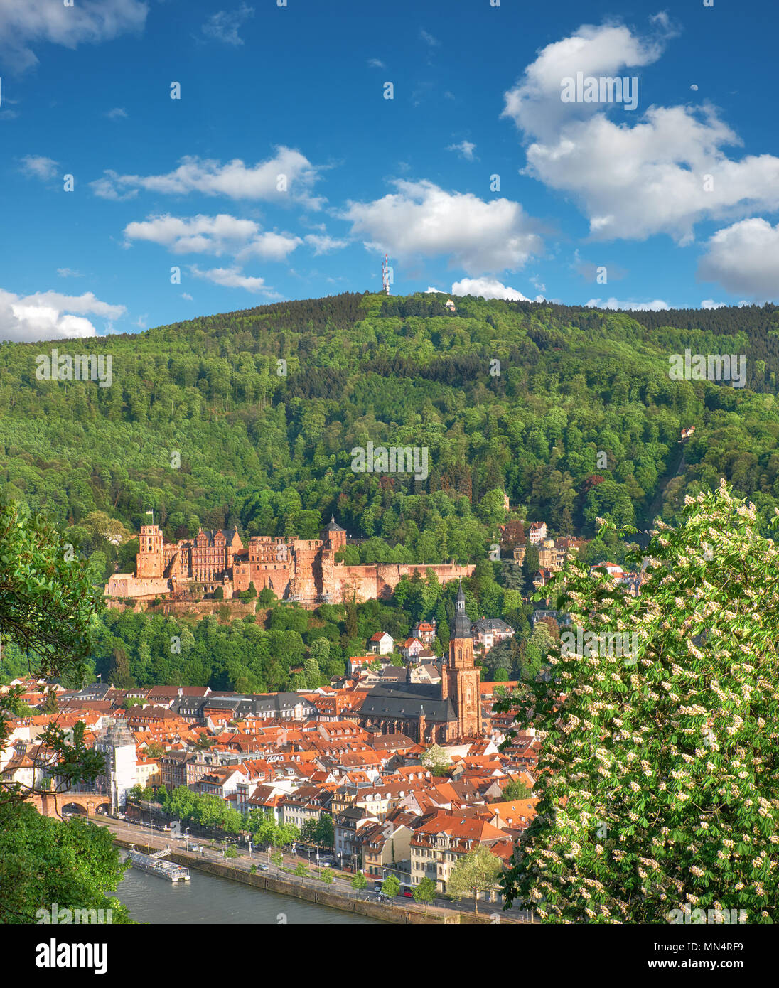 Heidelberg and ruins of Heidelberg Castle (Heidelberger Schloss) in ...