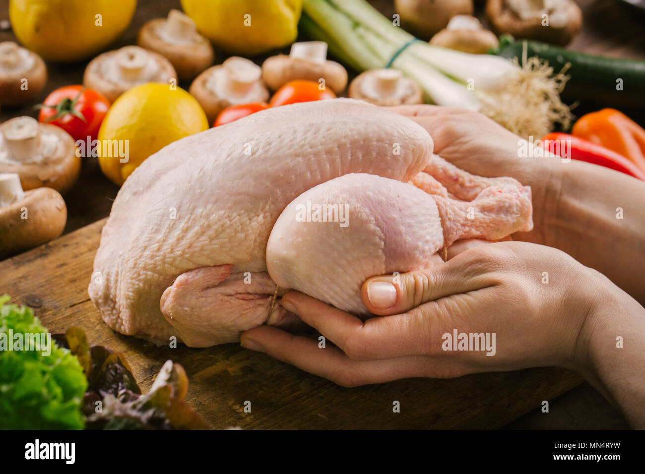 Putting food on bird table hi-res stock photography and images - Alamy