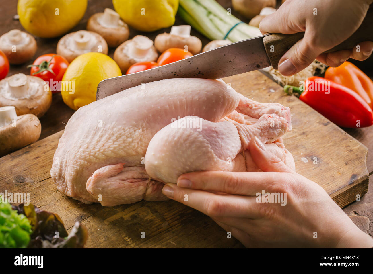 Poultry on hi-res stock photography and images - Alamy