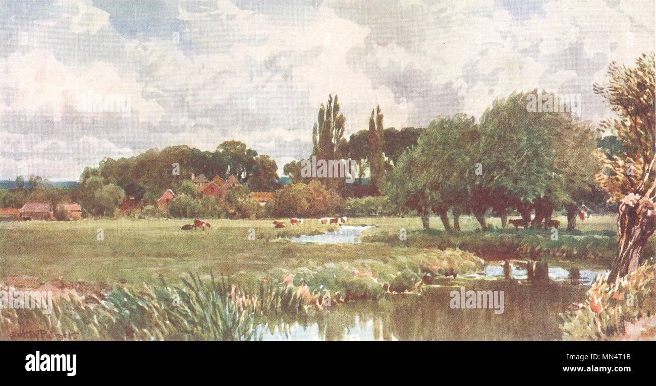 Wey valley hi-res stock photography and images - Alamy