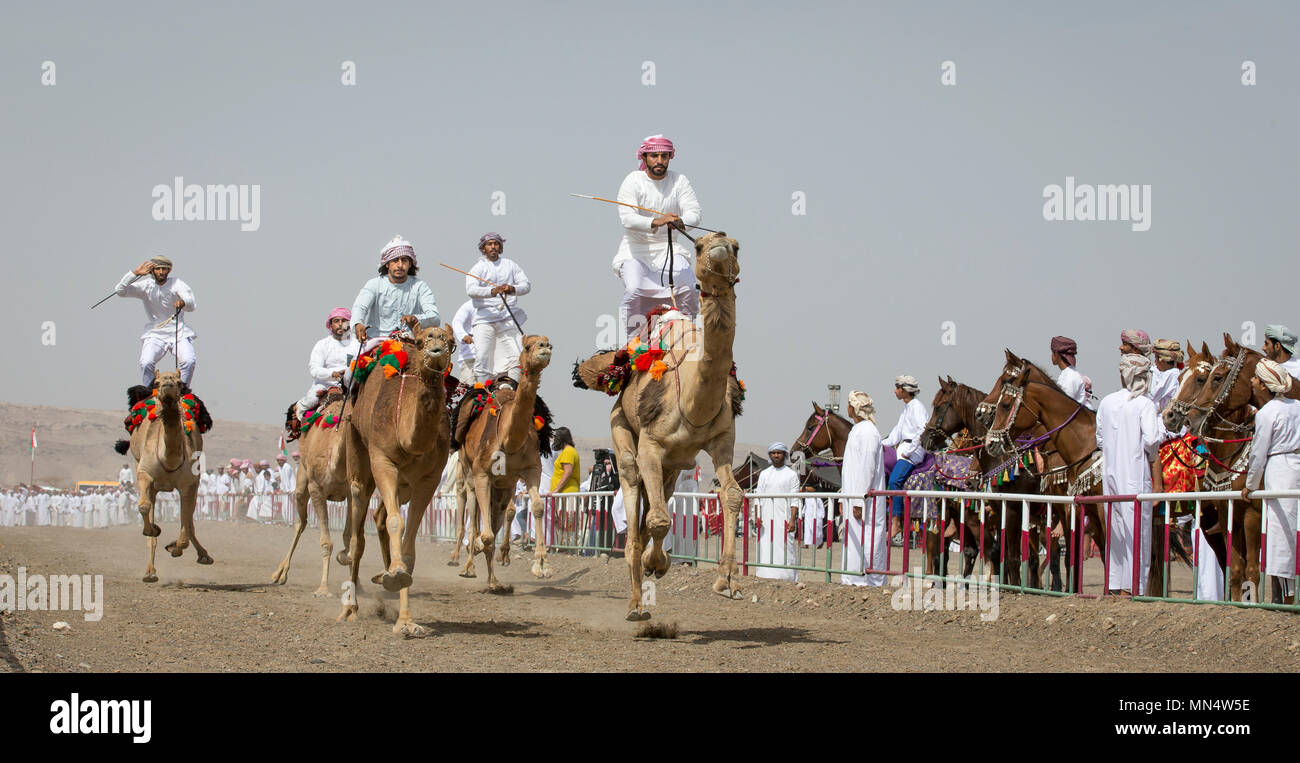 Camel oman village hi-res stock photography and images - Alamy