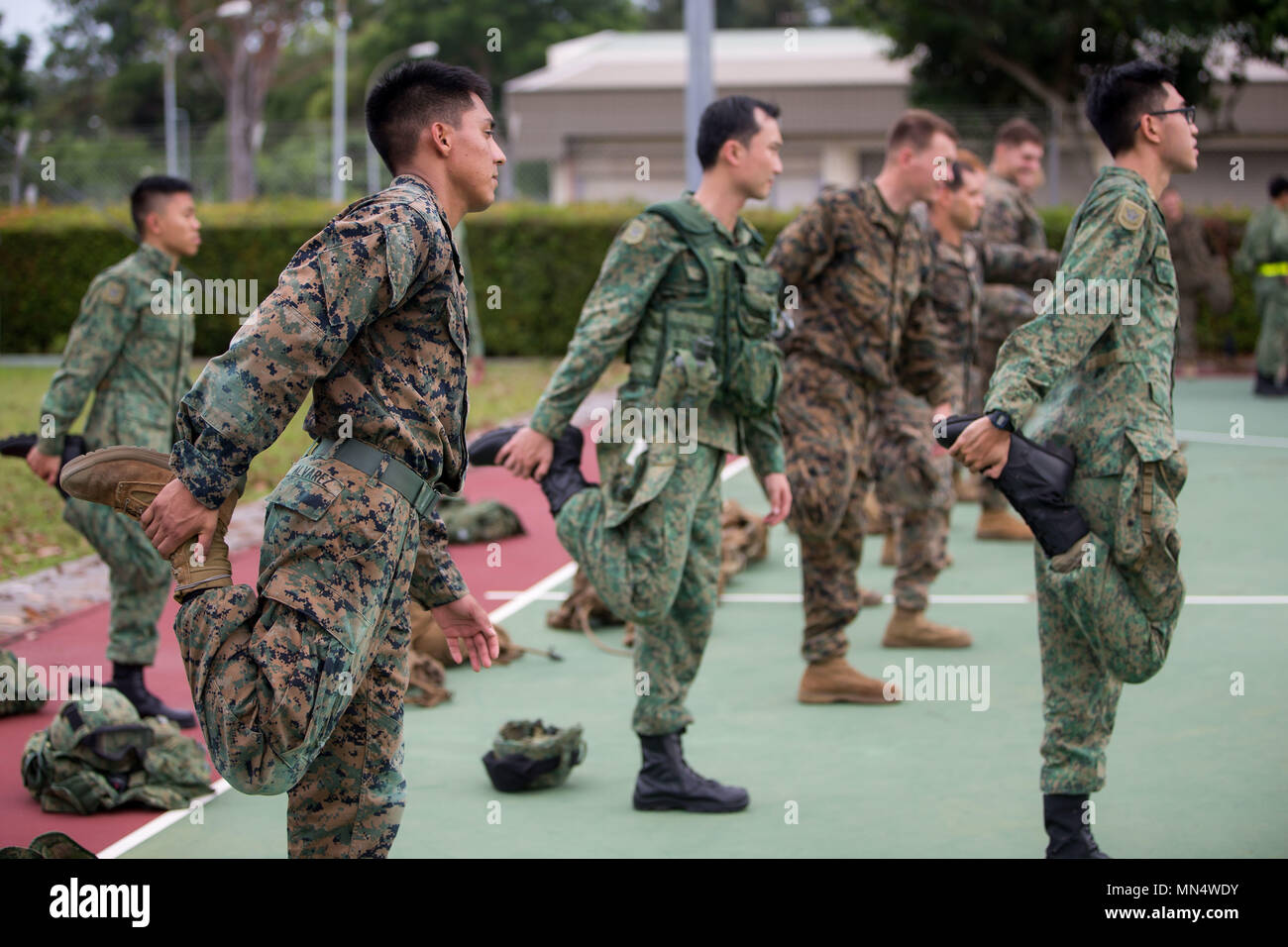 U.S. Marines and Singapore Armed Forces Soldiers stretch after running ...