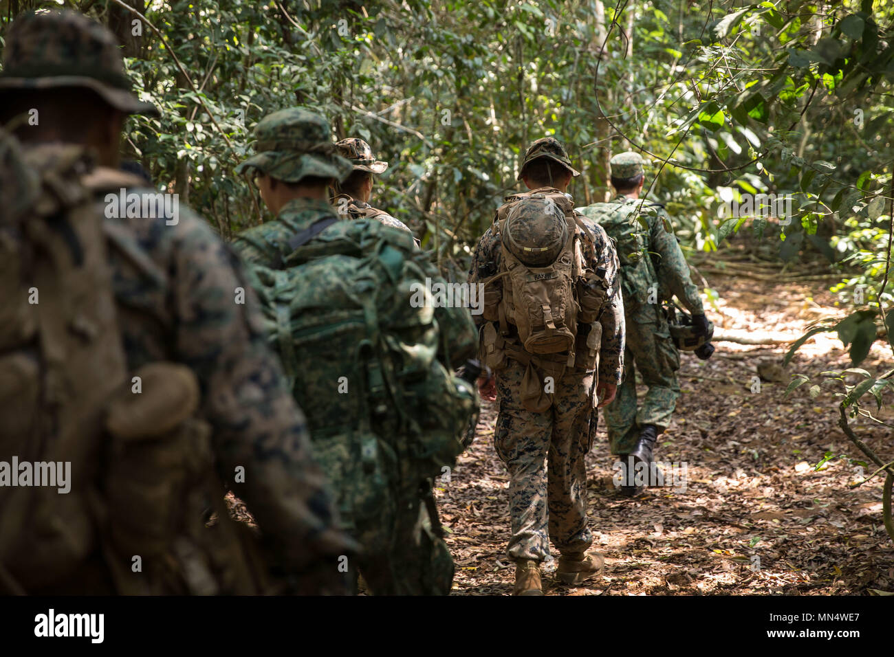 Multinational service members conduct land navigation during Exercise ...