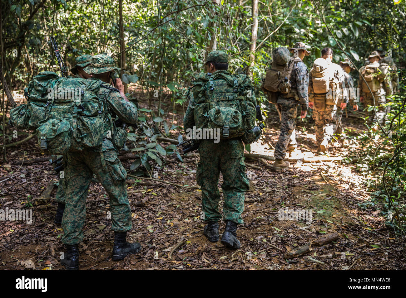 3rd battalion singapore guards hi-res stock photography and images - Alamy