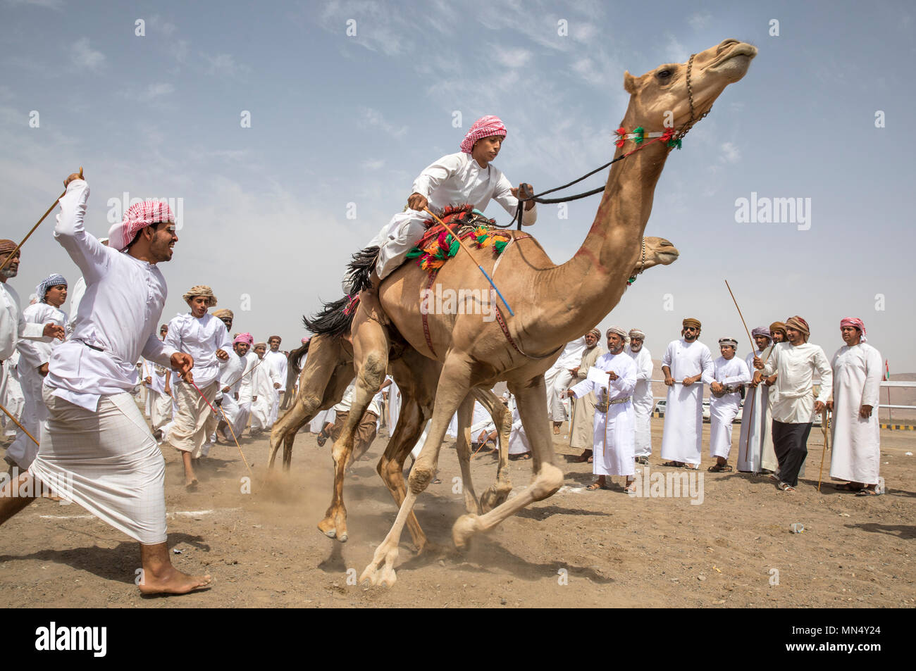 Ibri, Oman, 28th April 2018: omani men getting ready to race their ...