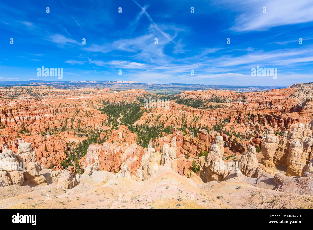 Scenic view of red sandstone hoodoos in Bryce Canyon National Park in ...