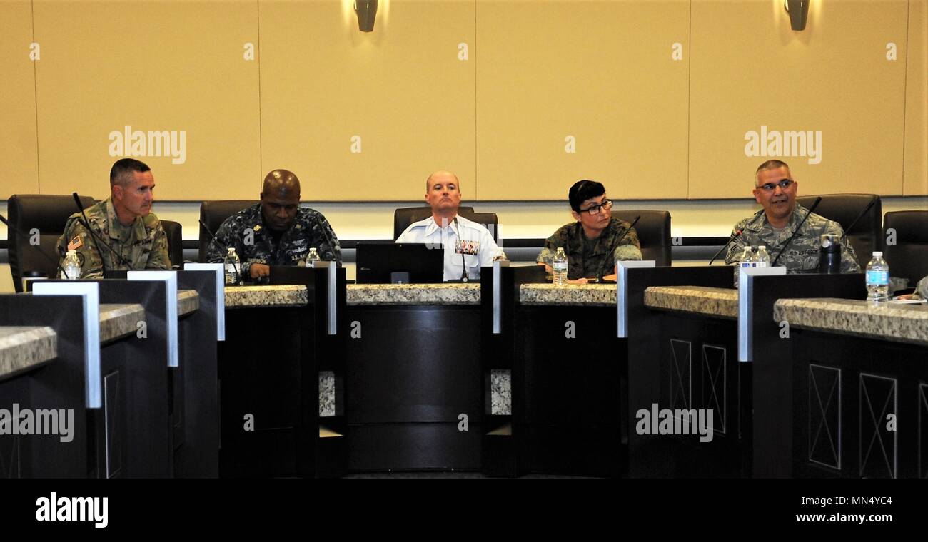 A joint service enlisted leadership panel representing all of the U.S ...